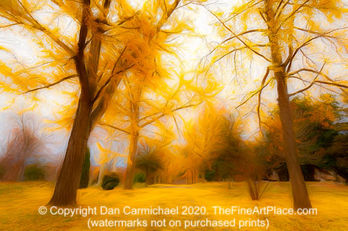 Fall Colors - Yellow Makes Me Happy - The Fine Art Place